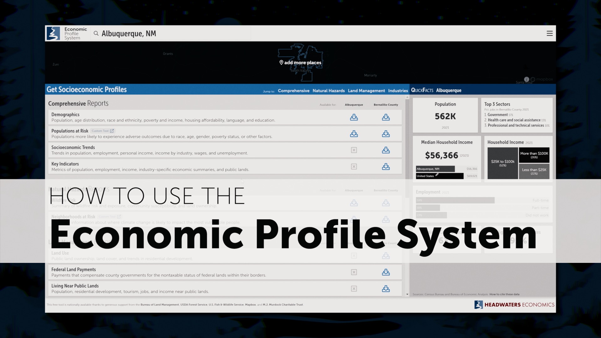 Economic Profile System